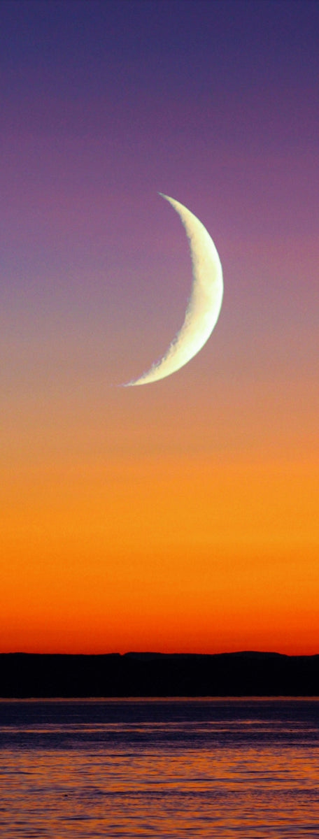 Painted Stairways - Moon Stairs – RiserArt